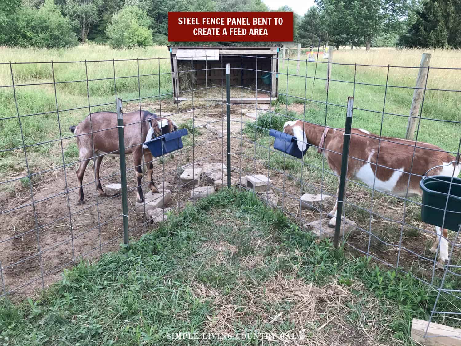 Movable Goat Fence | Simple Living Country Gal