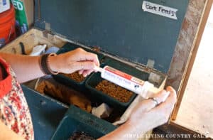 Goat Care Checklist: Keeping Your Goats Healthy | Simple Living Country Gal