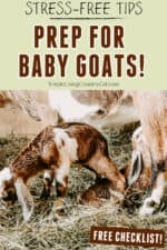 How to Prepare for Baby Goats When Kidding Begins | Simple Living ...