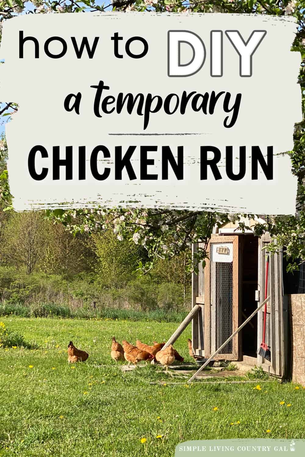 Temporary Chicken Run: Easy Setup for Your Flock | Simple Living ...