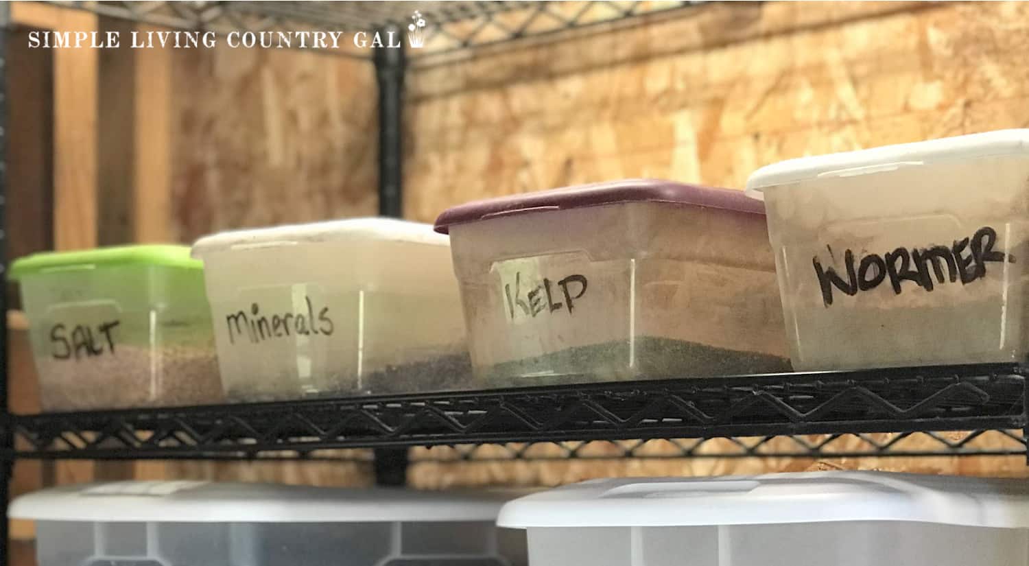 Minerals for Goats | Simple Living Country Gal