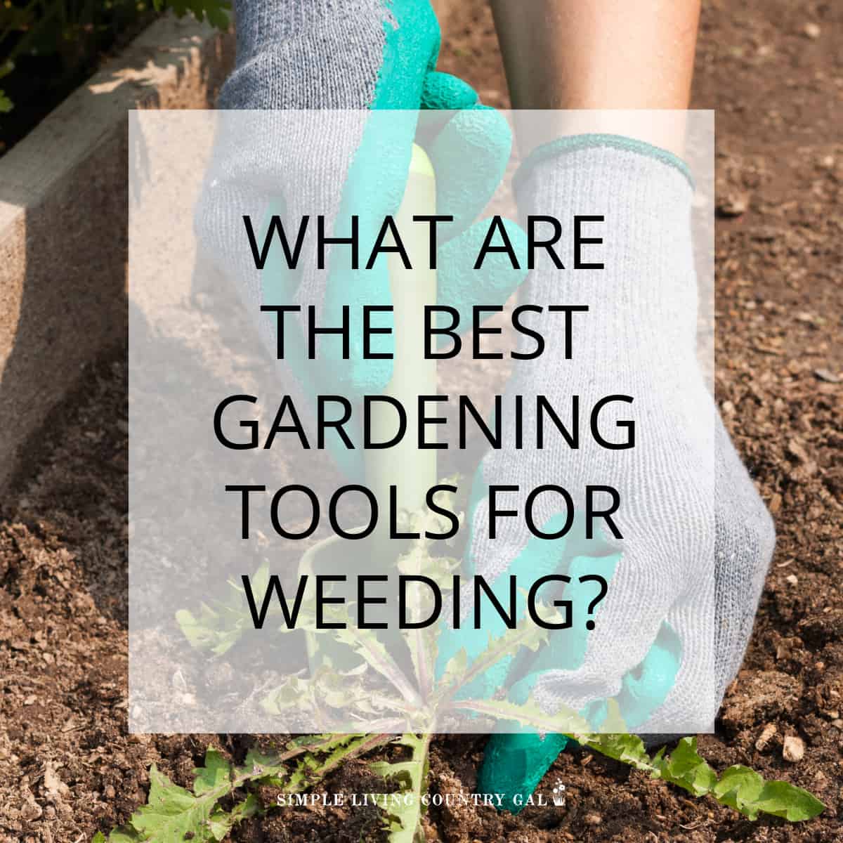 Best Gardening Tools for Weeding Made Easy | Simple Living Country Gal