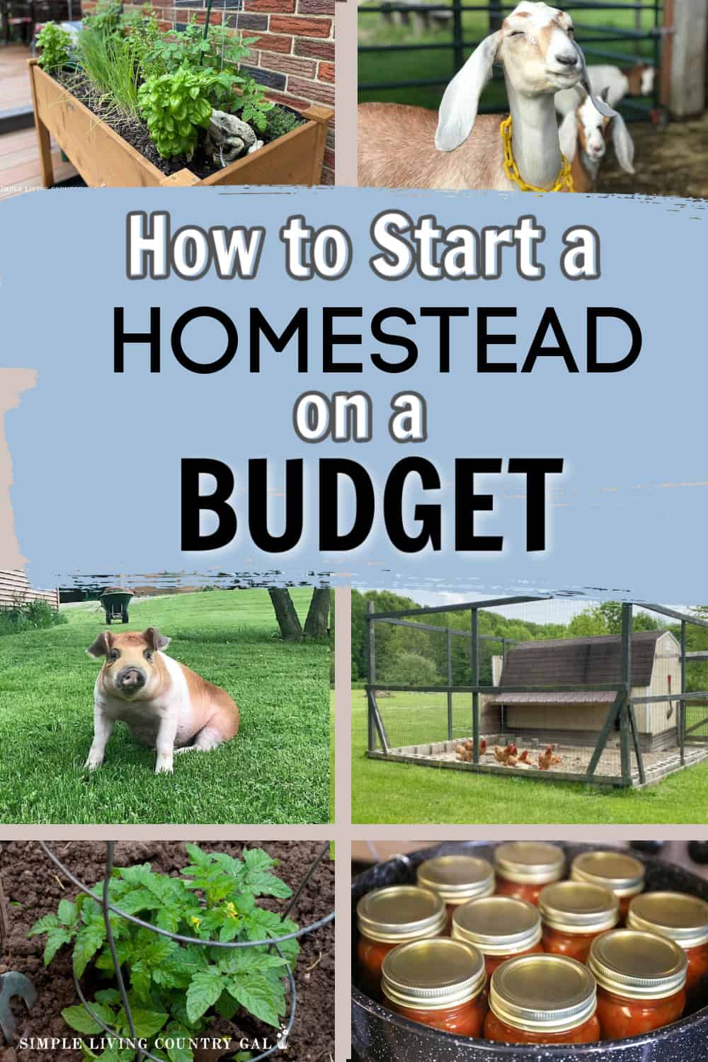 Homesteading on a budget | Simple Living Country Gal