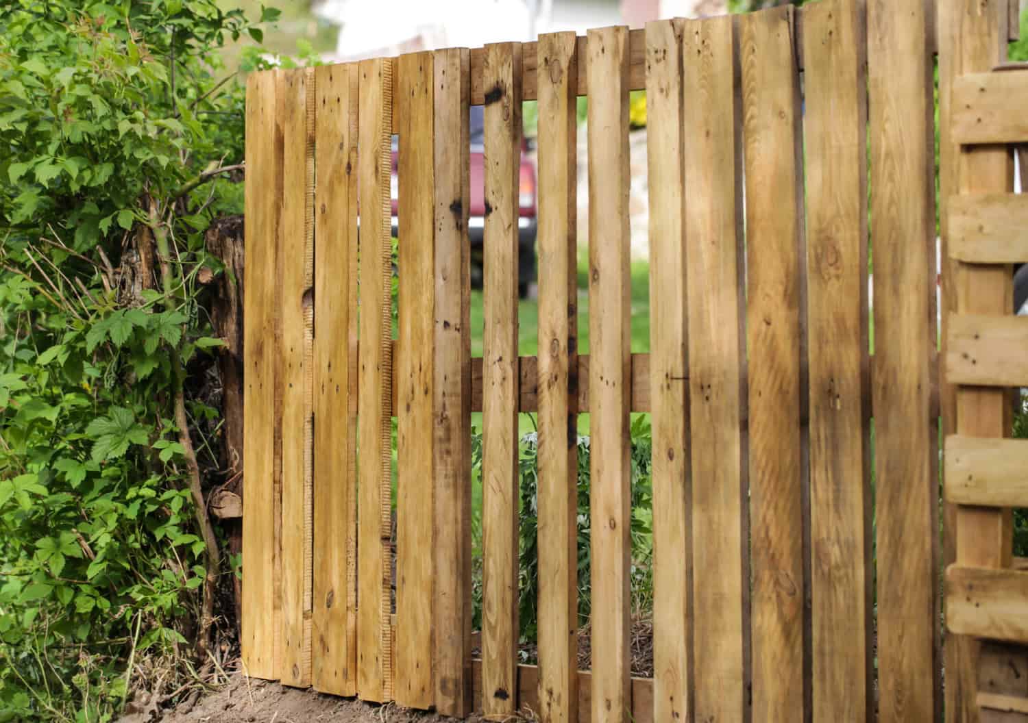 Cheap goat fence | Simple Living Country Gal