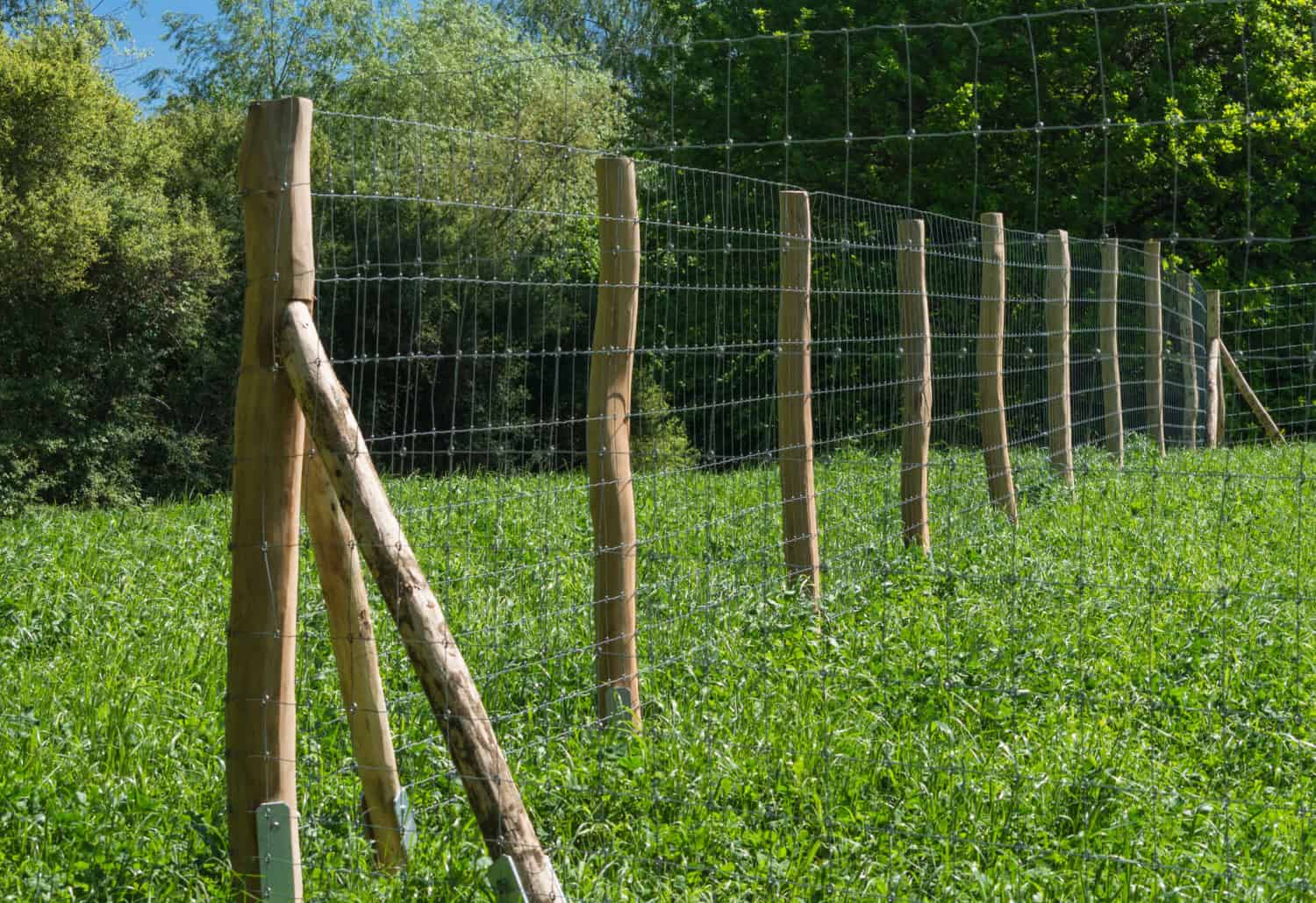 Cheap goat fence | Simple Living Country Gal
