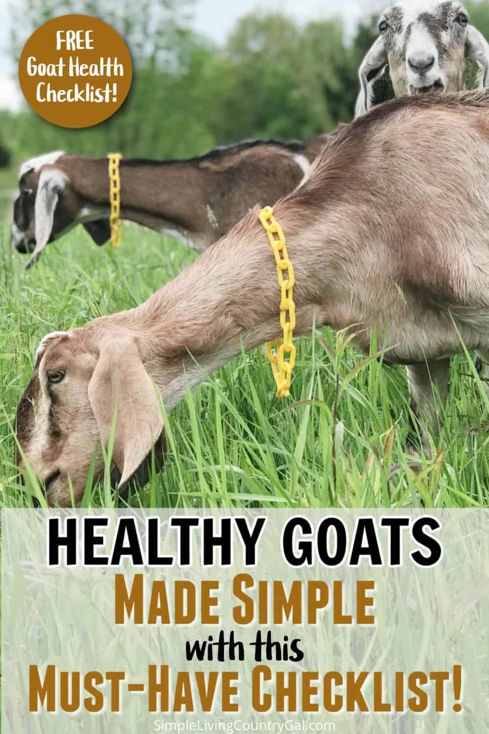 Goat Care Checklist: Keeping Your Goats Healthy | Simple Living Country Gal
