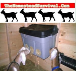 DIY Goat Hay Feeder to Reduce Hay Waste | Simple Living Country Gal