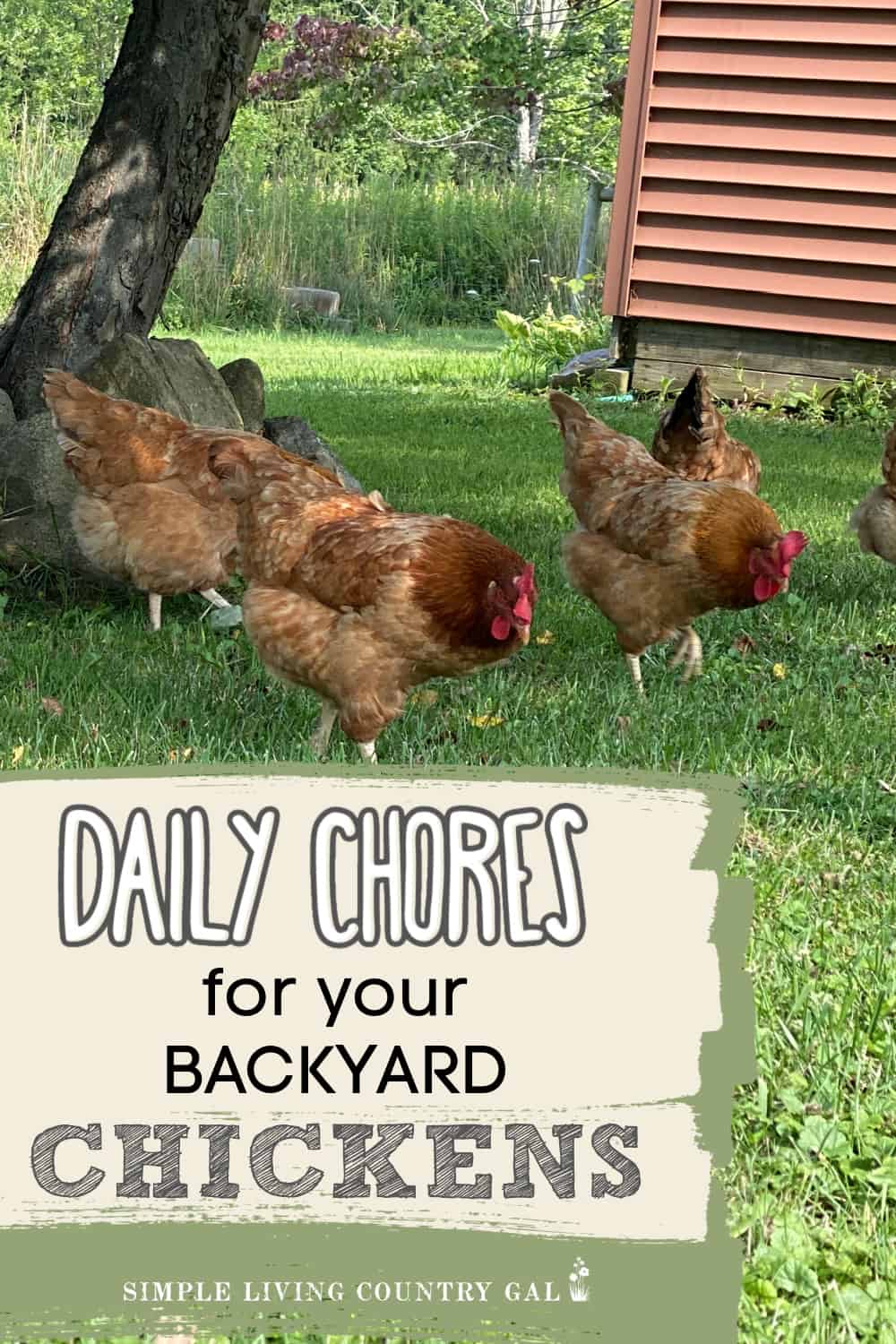 daily chicken chores | Simple Living Country Gal
