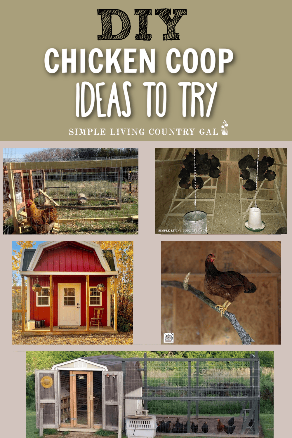 DIY Chicken Coop Ideas | Simple Living Country Gal