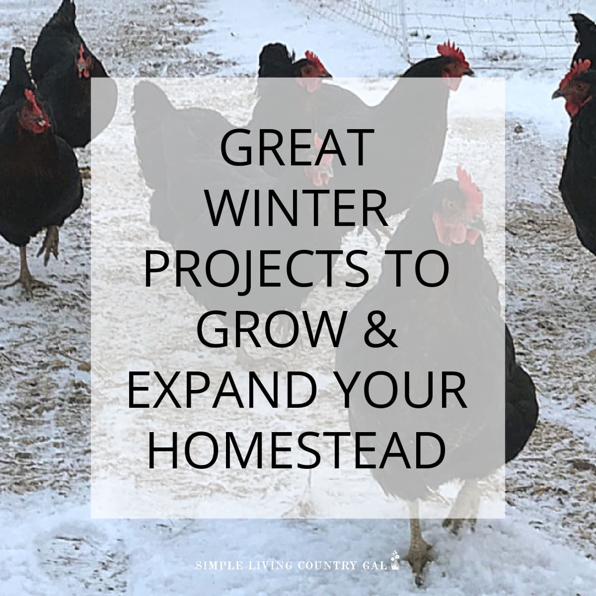 winter homestead projects | Simple Living Country Gal
