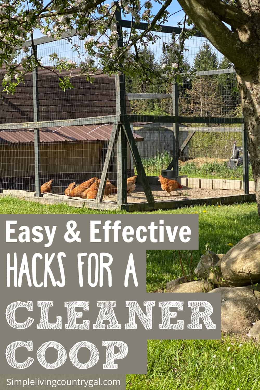 chicken coop cleaning hacks | Simple Living Country Gal