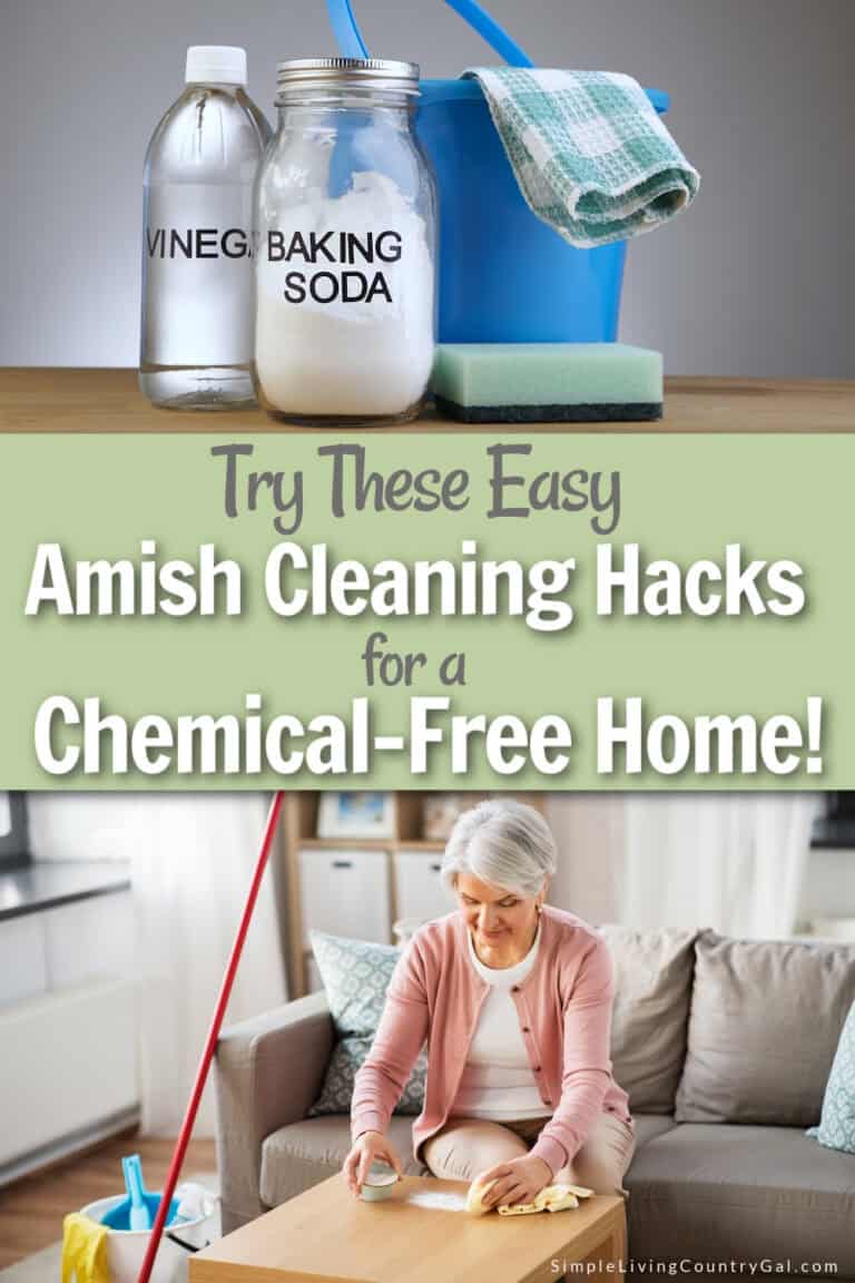 DIY Cleaners From the Amish That Work | Simple Living Country Gal