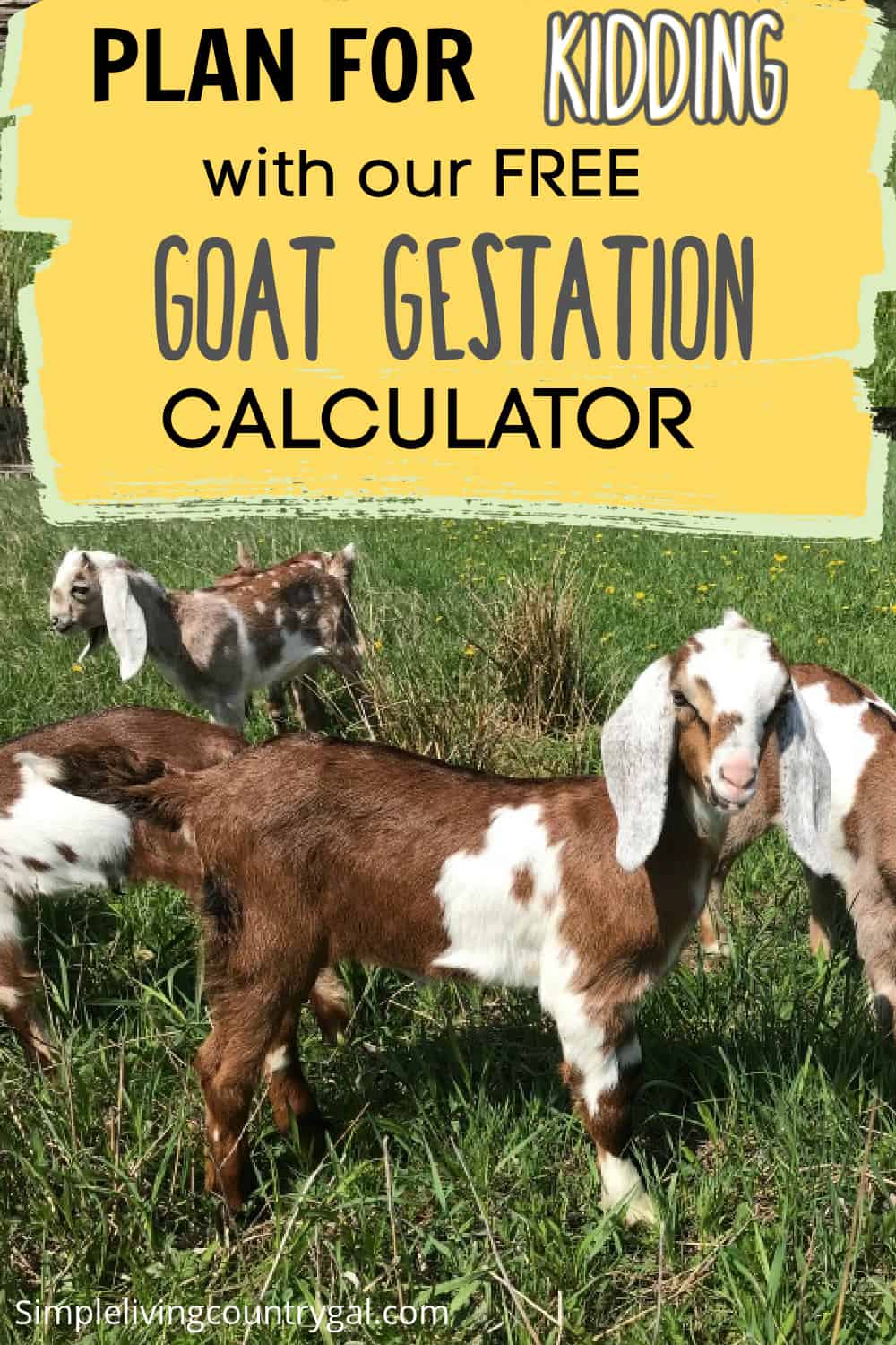 SLCG Goat Gestation Calendar and kidding prep | Simple Living Country Gal