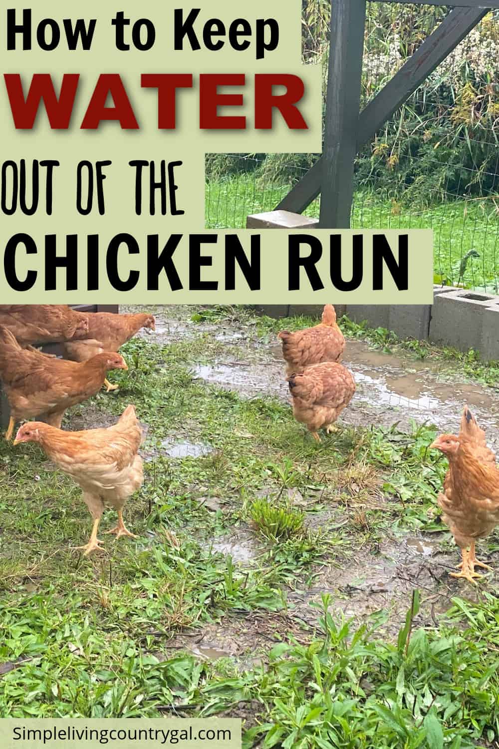 how to keep chicken run dry | Simple Living Country Gal