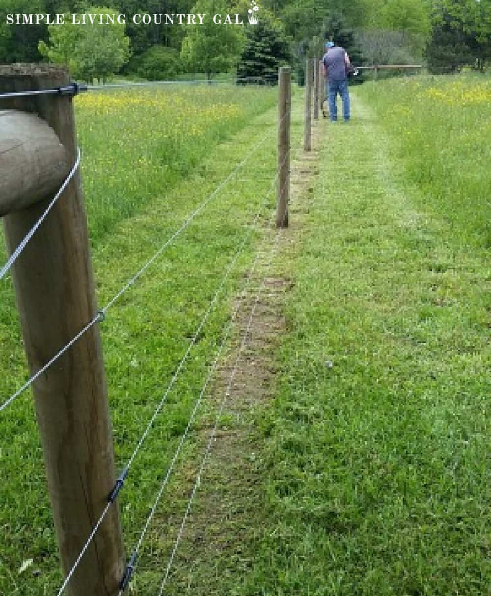 best way to trim fence line | Simple Living Country Gal