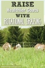 rotational grazing goats | Simple Living Country Gal