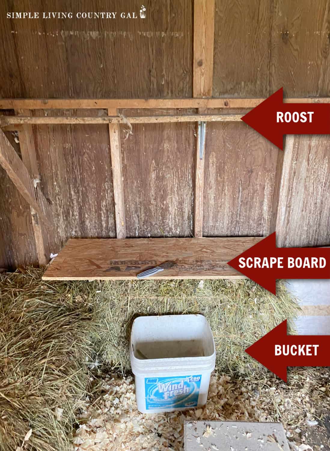 daily chicken chores | Simple Living Country Gal