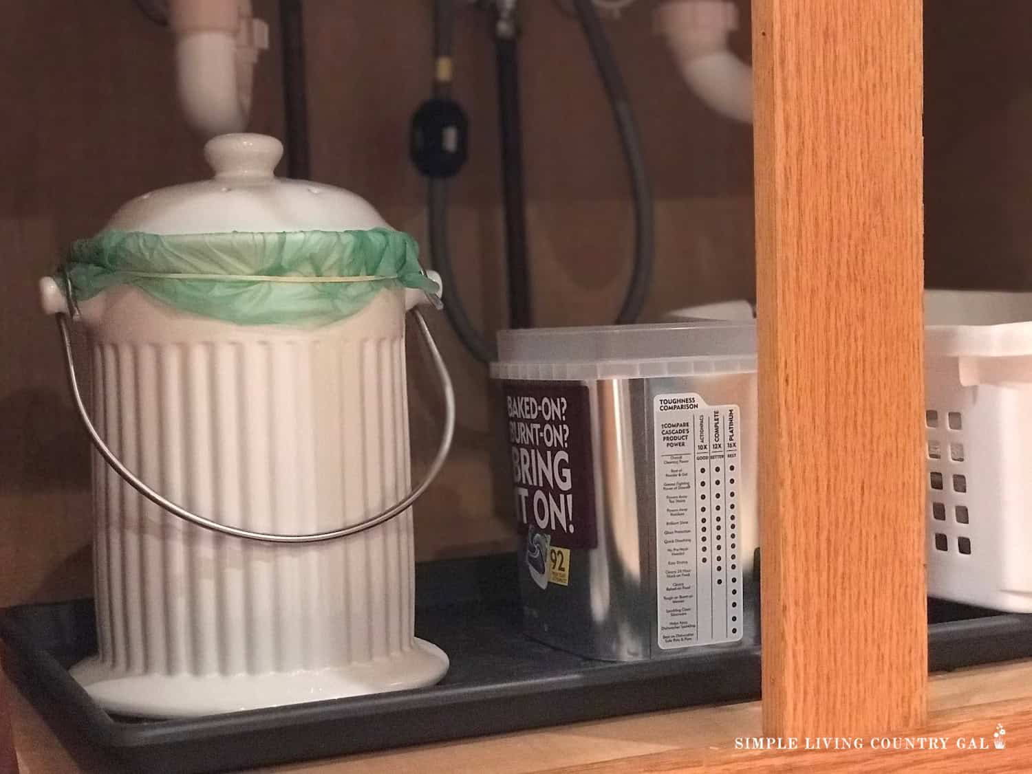 Get Started with 10 Beginner Homestead Projects | Simple Living Country Gal