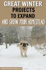 winter homestead projects | Simple Living Country Gal