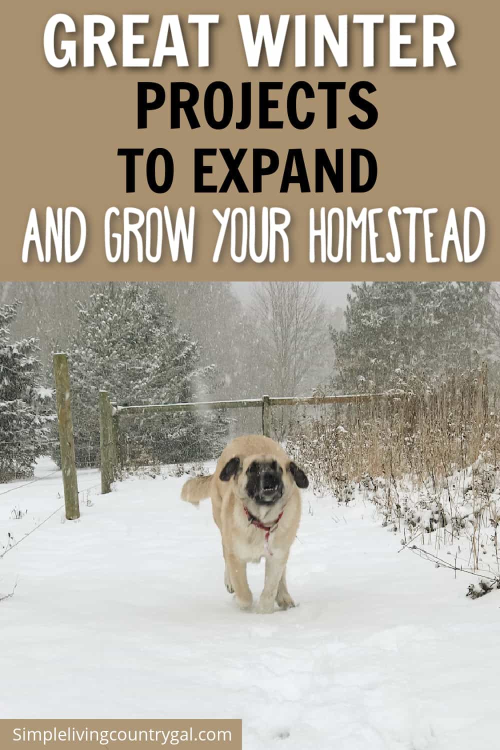 winter homestead projects | Simple Living Country Gal