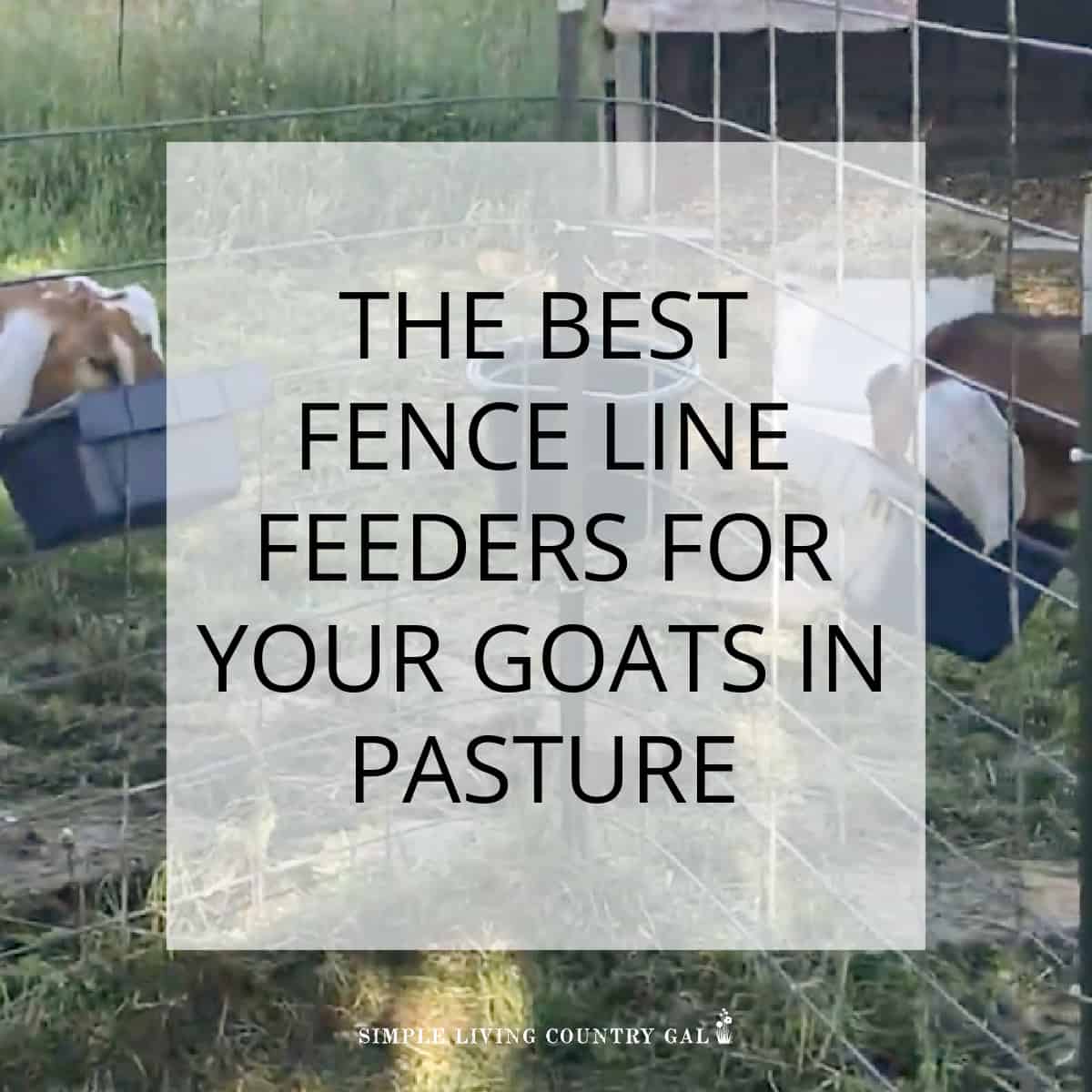 goat fence line feeder | Simple Living Country Gal