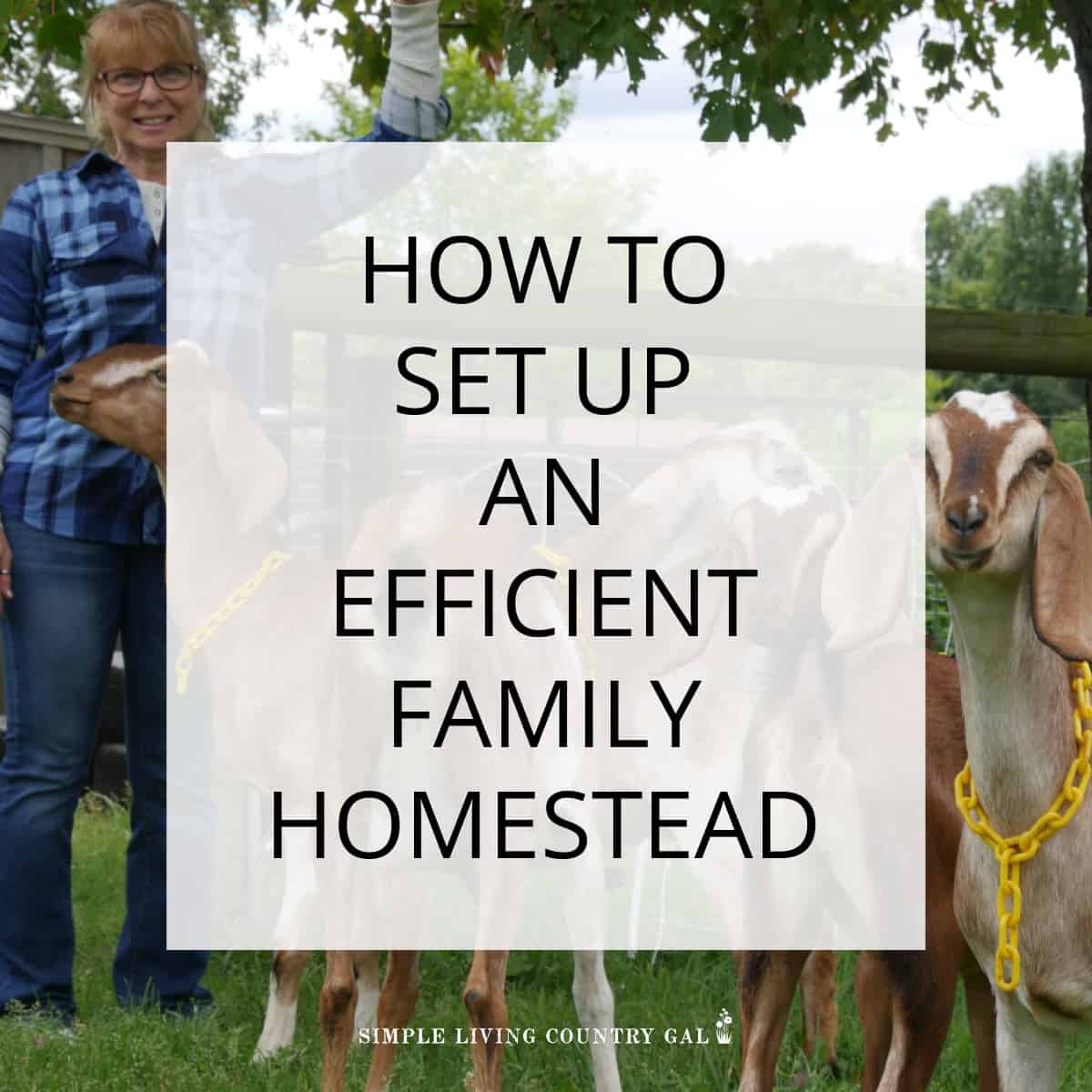 homestead layout | Simple Living Country Gal
