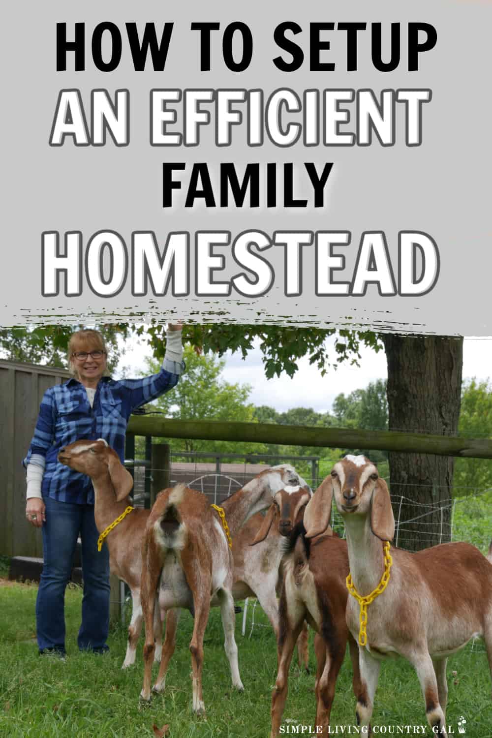 Homestead Layout Planning for Your Future | Simple Living Country Gal