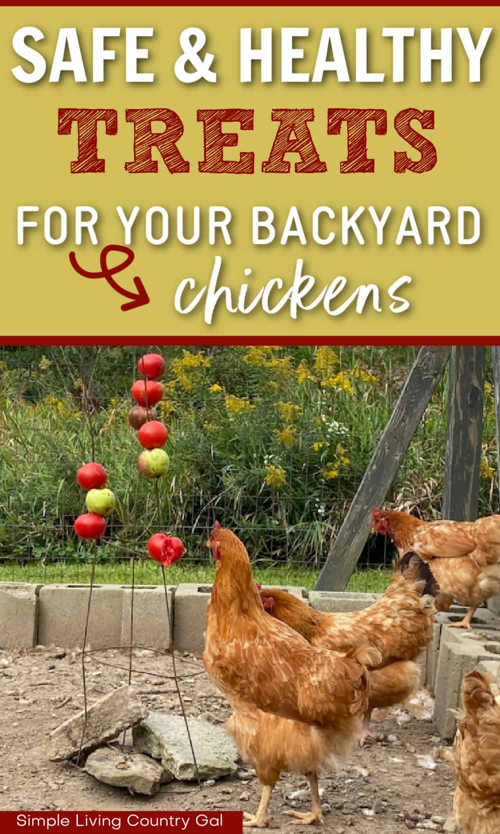 Treats for chickens | Simple Living Country Gal
