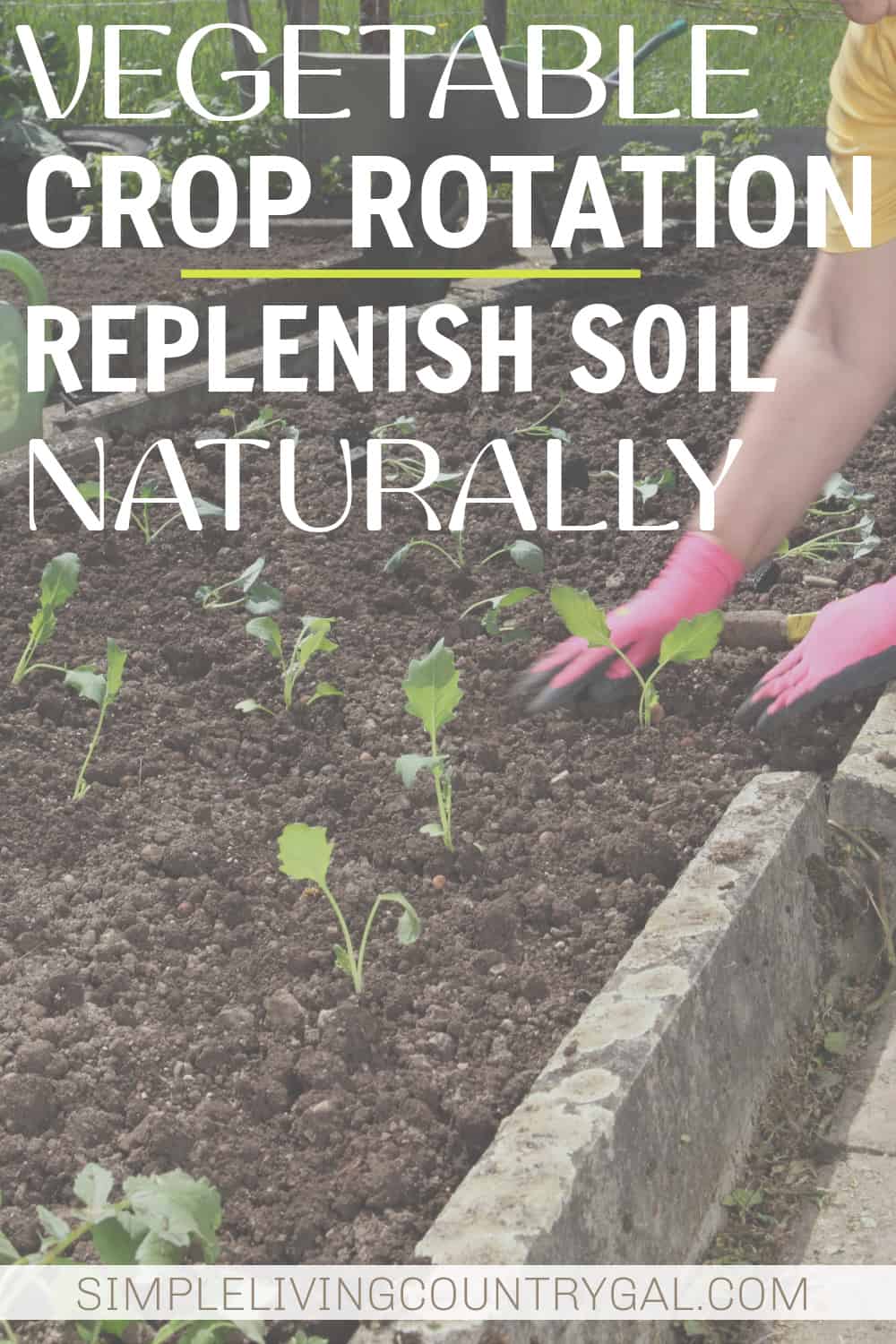 how to rotate crops | Simple Living Country Gal