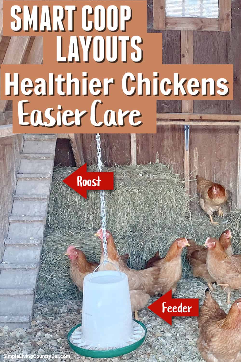 Inside Chicken Coop Layout Tips for Beginners | Simple Living Country Gal