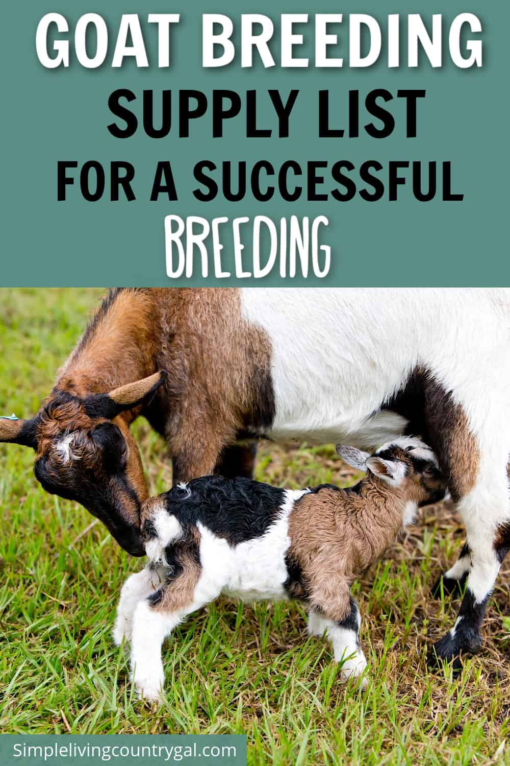 Goat Breeding Supplies | Simple Living Country Gal