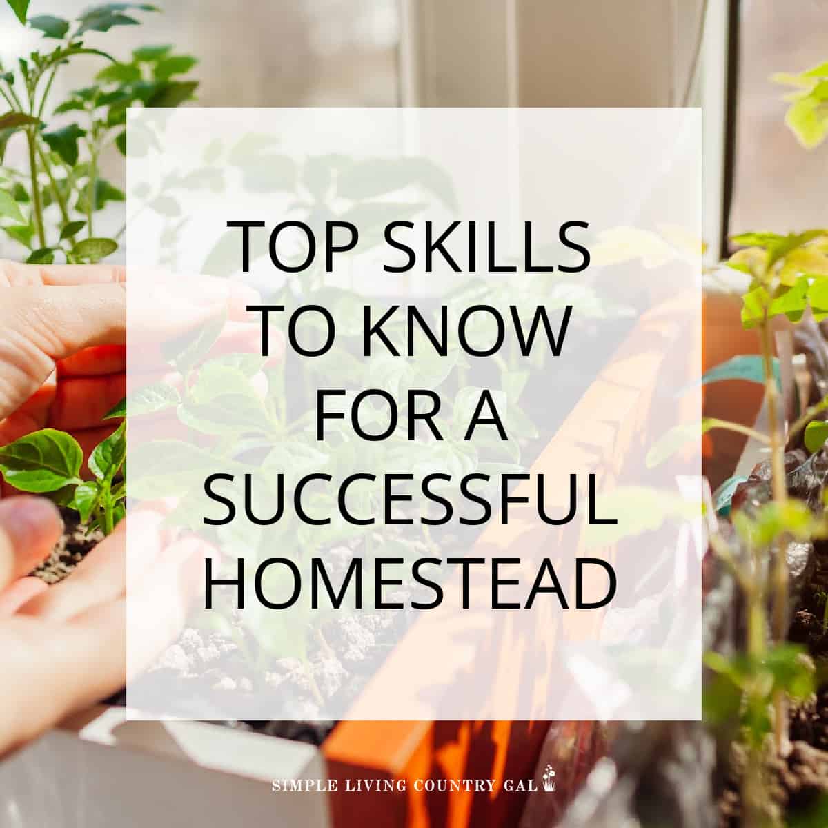 homesteading skills list | Simple Living Country Gal