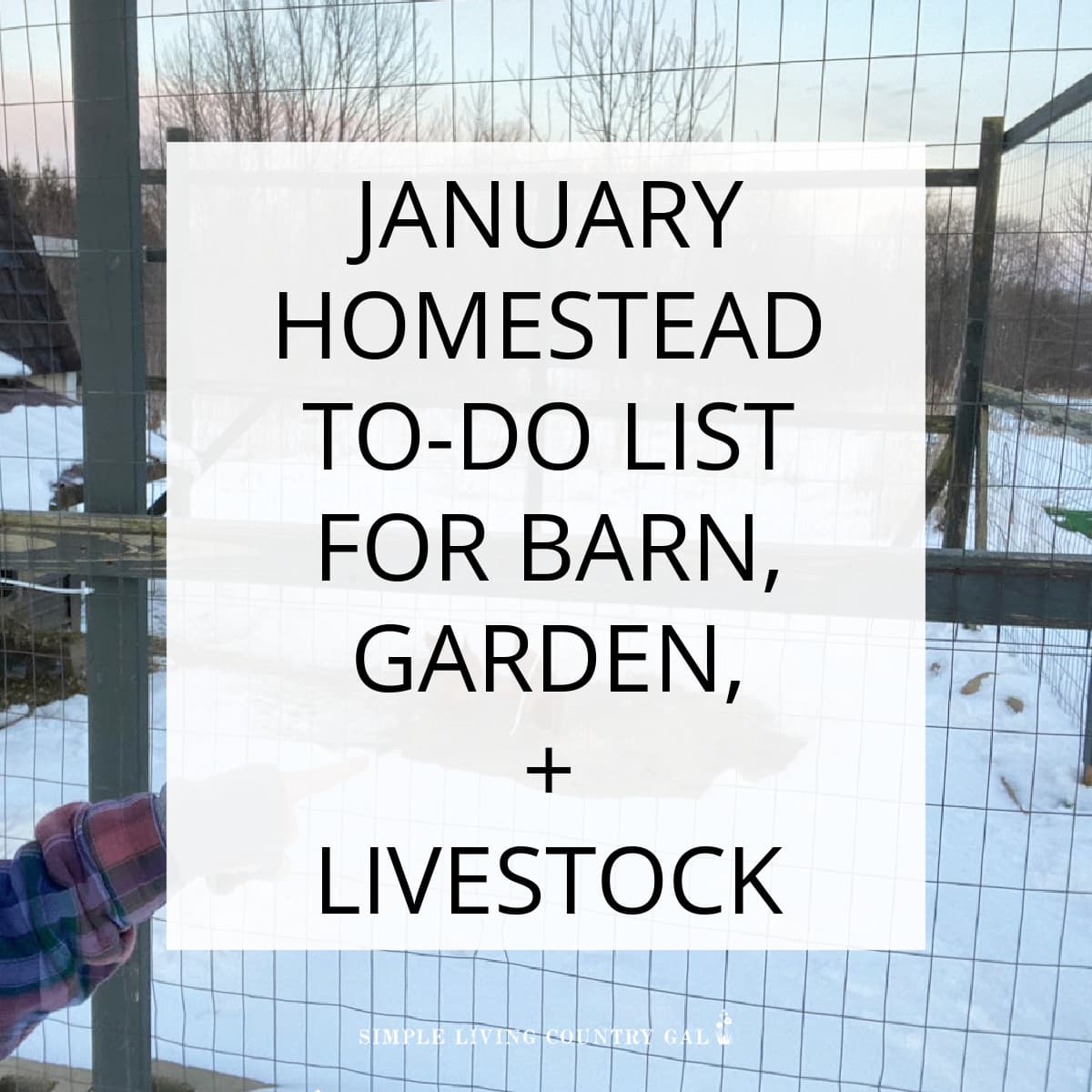 January Homesteading to-do List | Simple Living Country Gal
