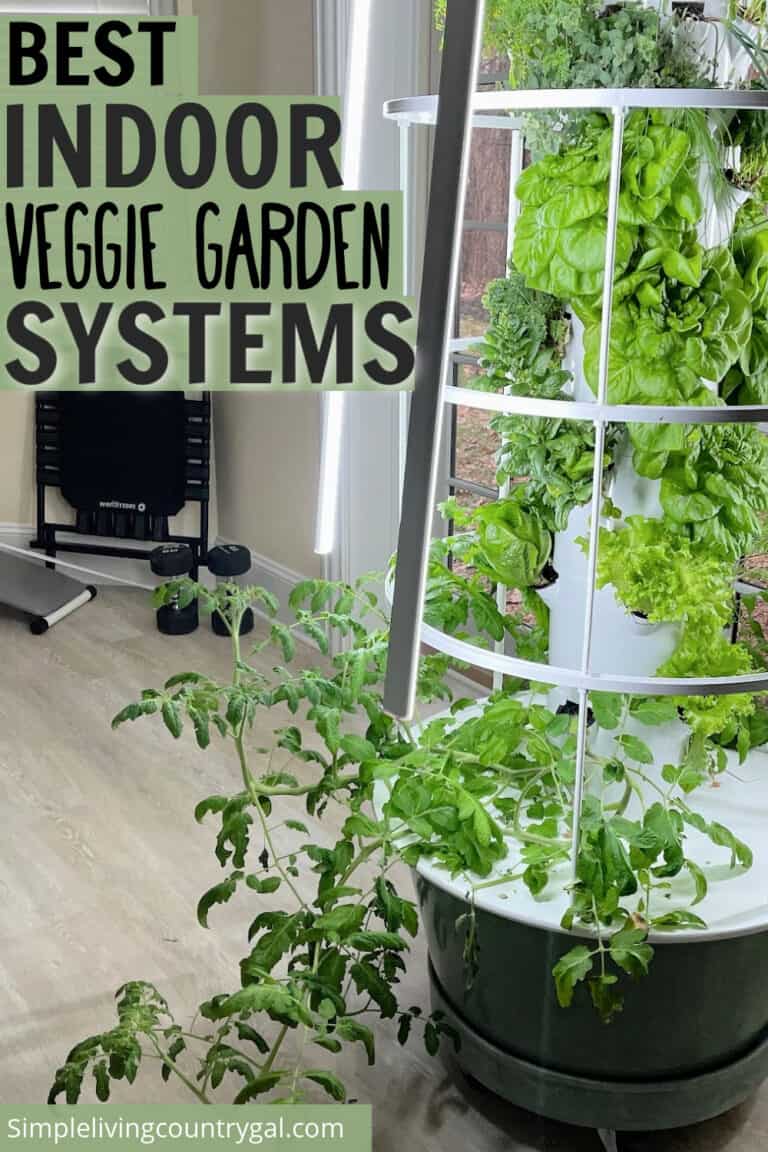 best indoor vegetable garden system | Simple Living Country Gal