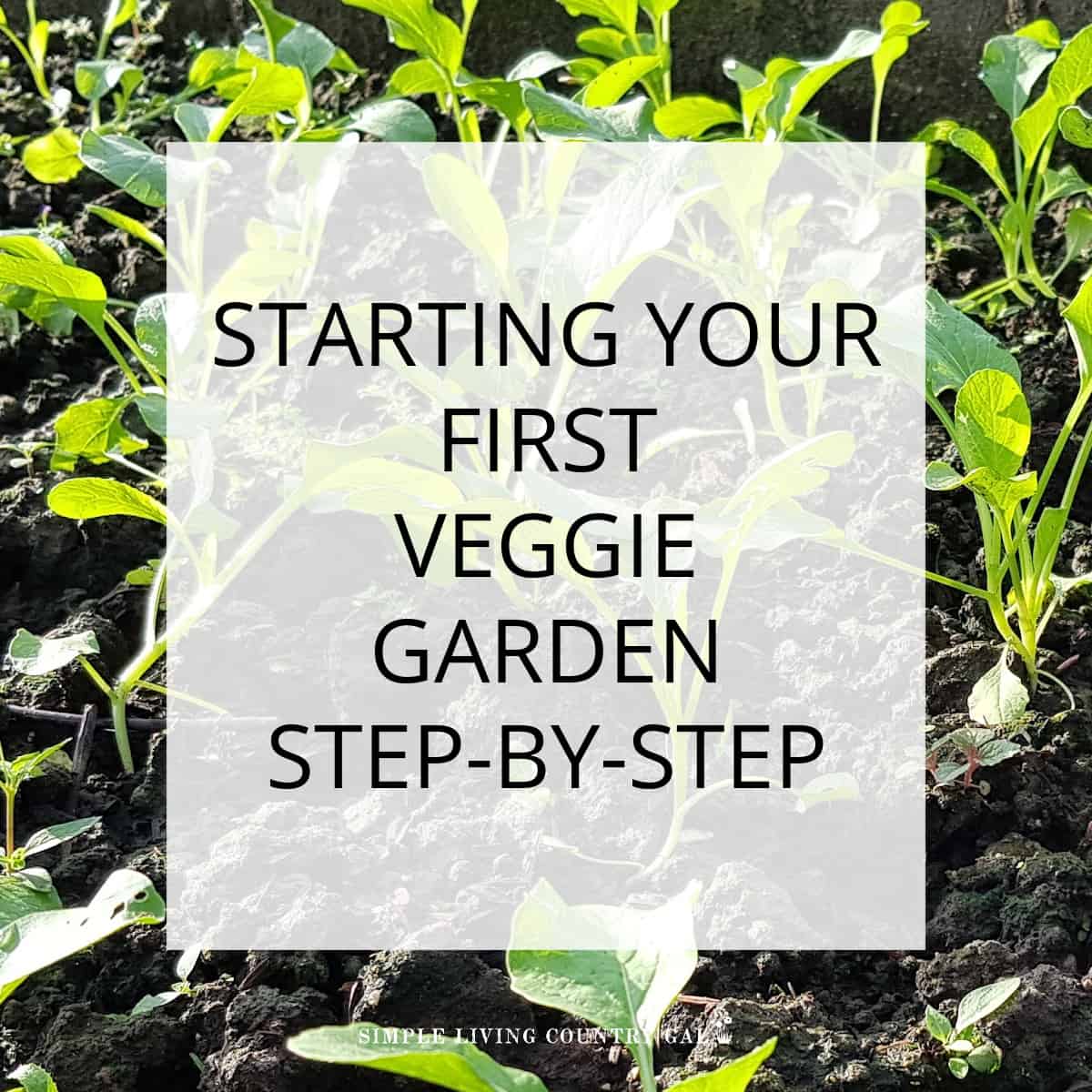 Starting My First Garden: The Complete Guide | Simple Living Country Gal
