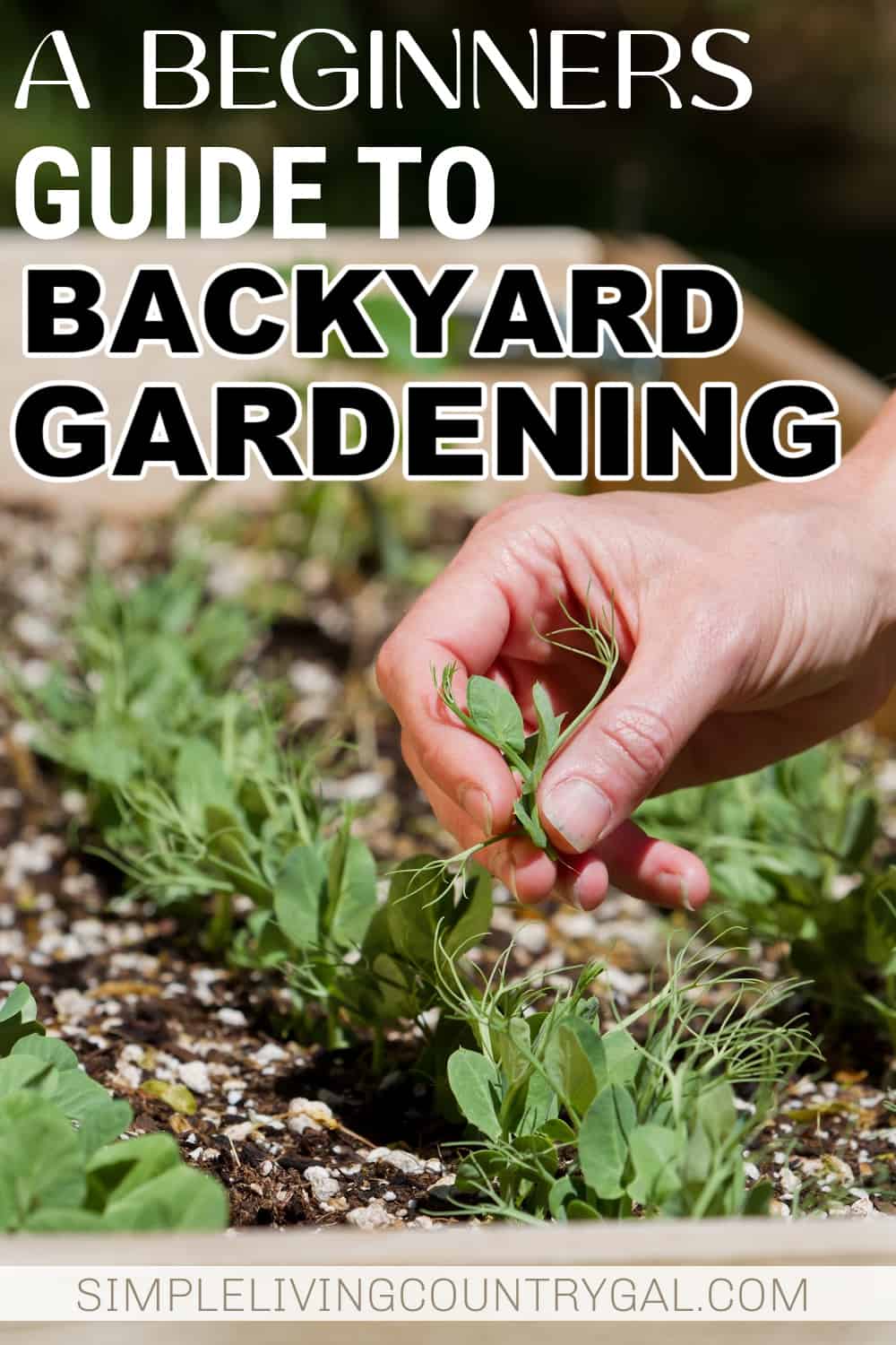 Starting My First Garden: The Complete Guide | Simple Living Country Gal