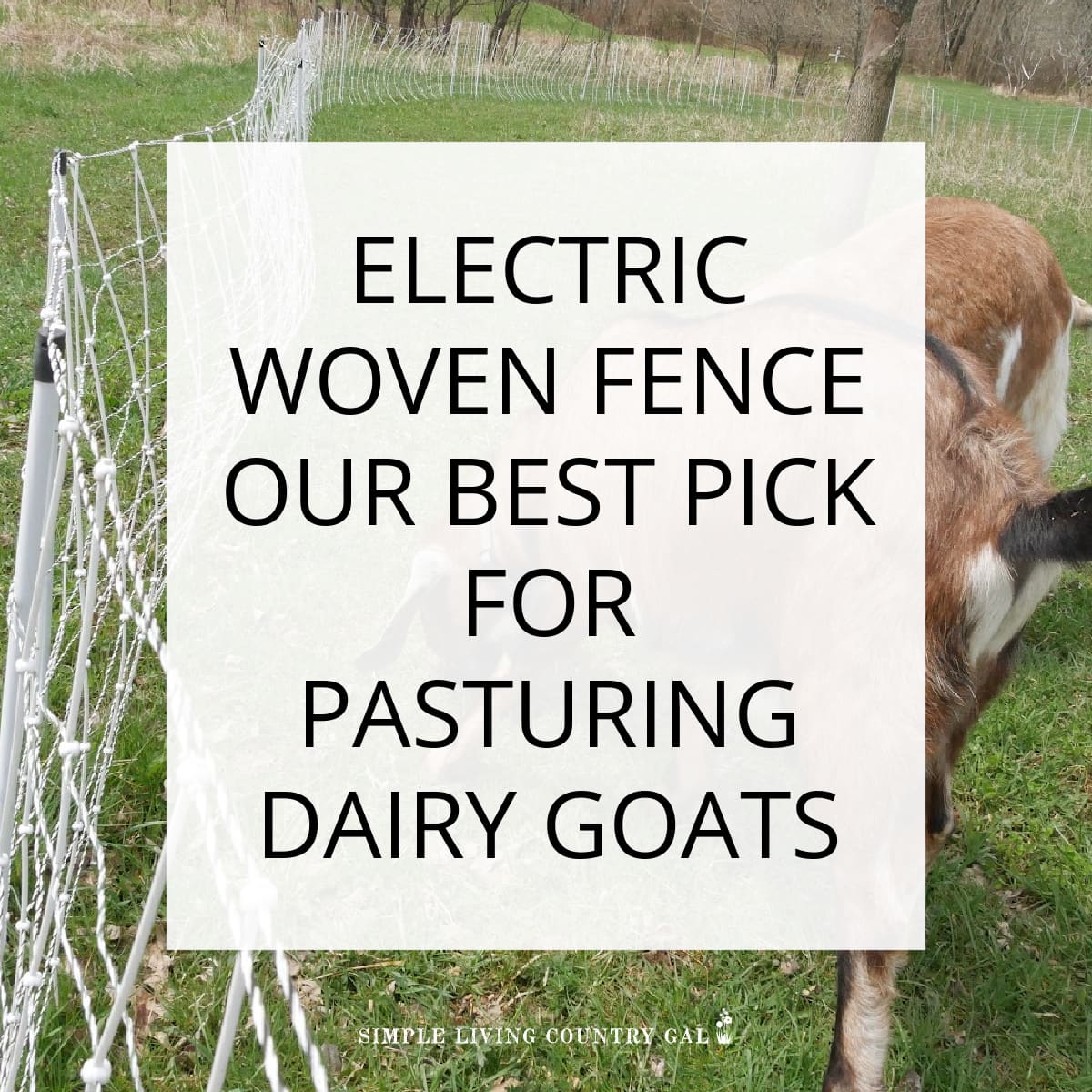 woven electric fence | Simple Living Country Gal