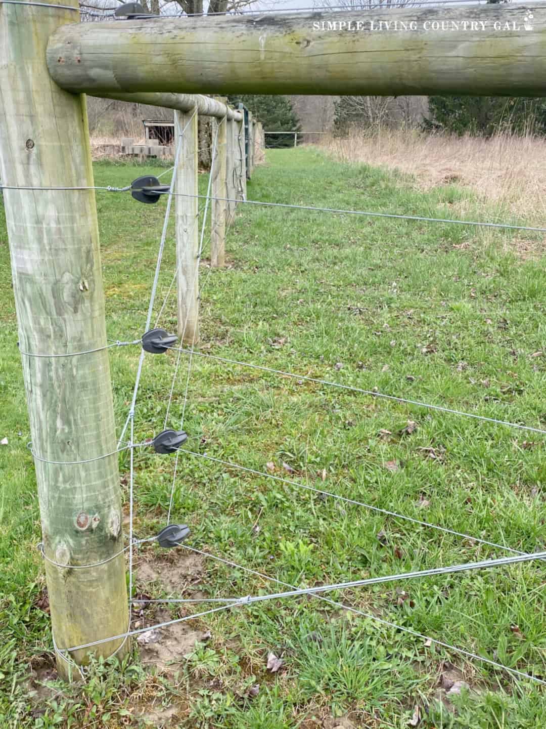 Fencing for Goats in Pasture | Simple Living Country Gal