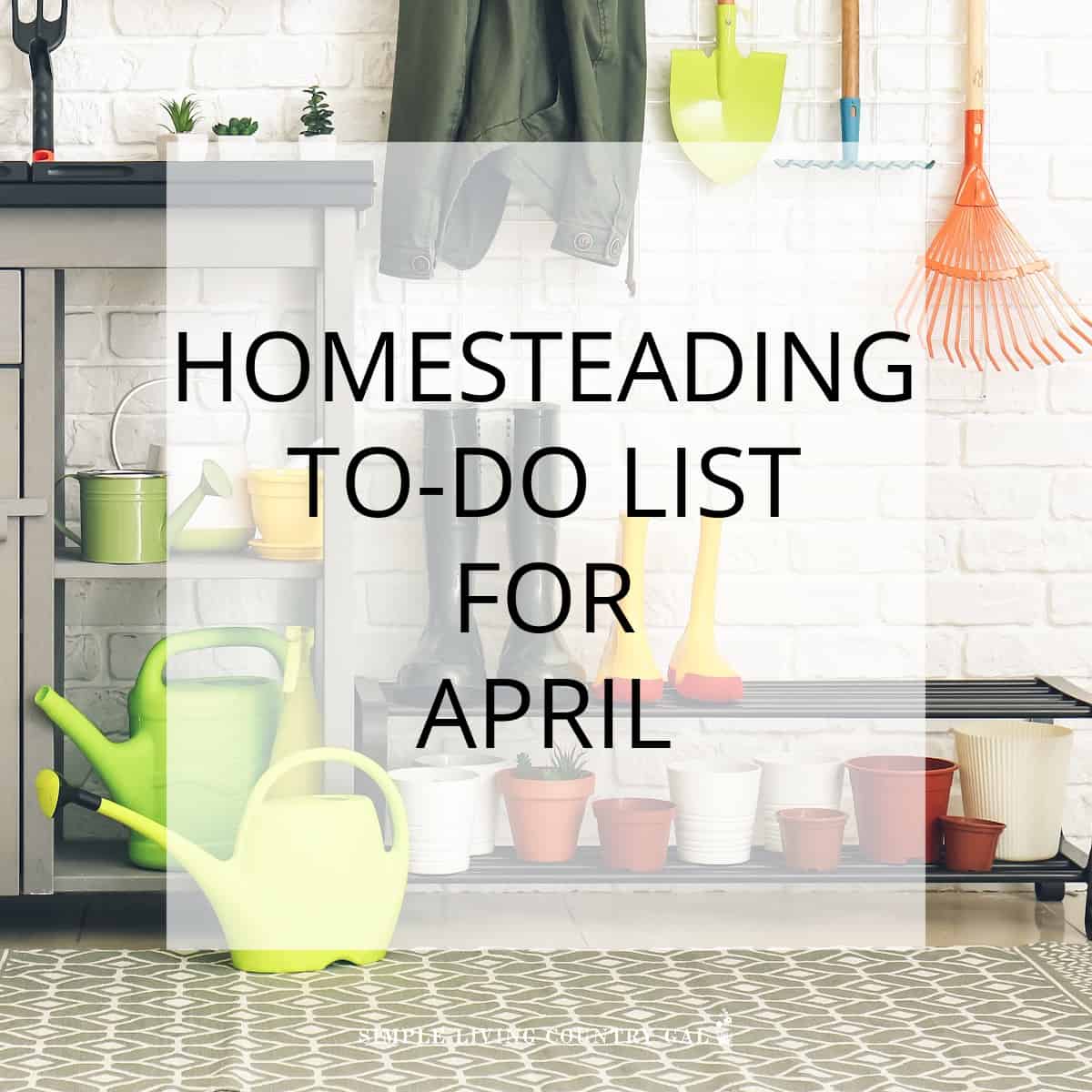 Homesteading April to-do List | Simple Living Country Gal