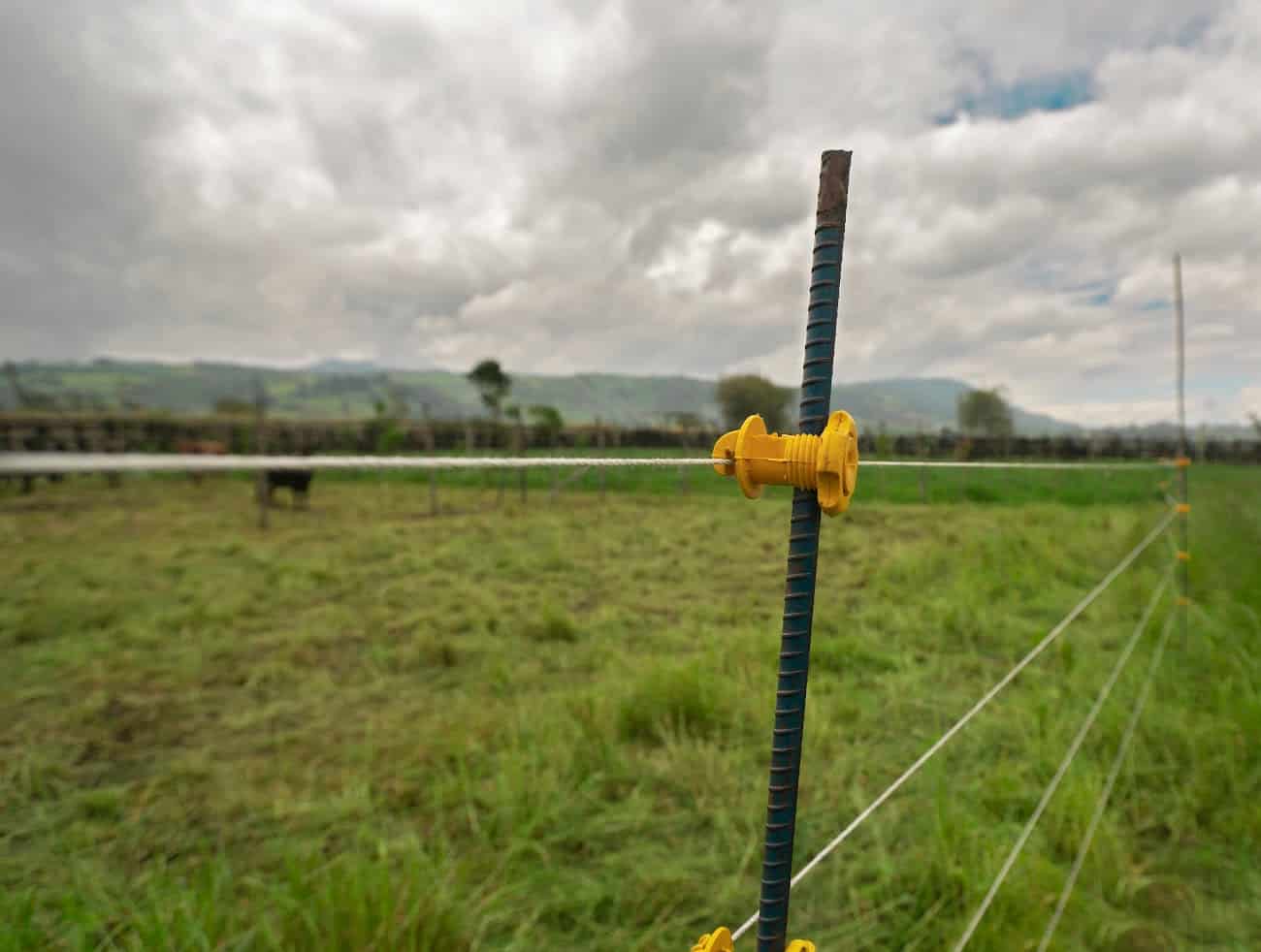 Fencing for Goats in Pasture | Simple Living Country Gal