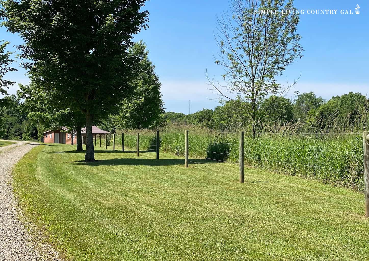 Fencing for Goats in Pasture | Simple Living Country Gal