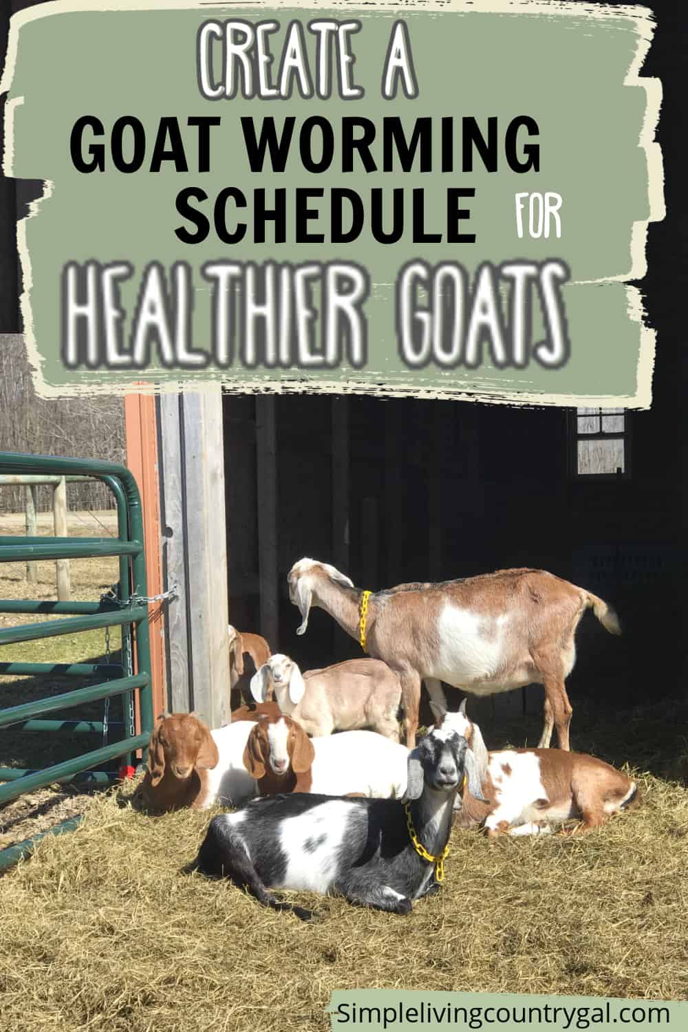 Goat Deworming Schedule | Simple Living Country Gal