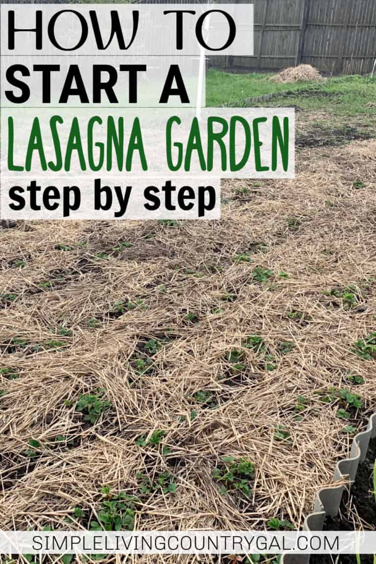 How to Make a Lasagna Garden | Simple Living Country Gal