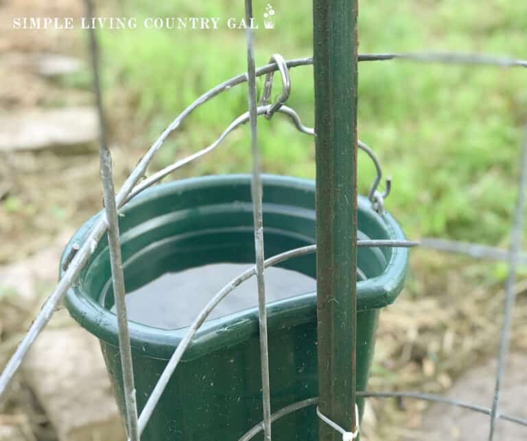 Goat Watering Ideas | Simple Living Country Gal