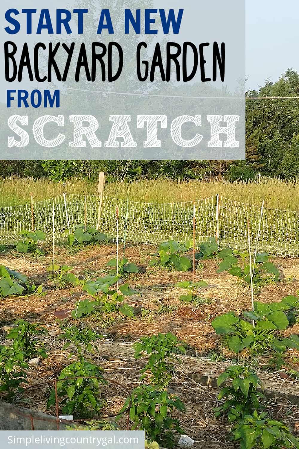 Starting a Garden From Scratch | Simple Living Country Gal