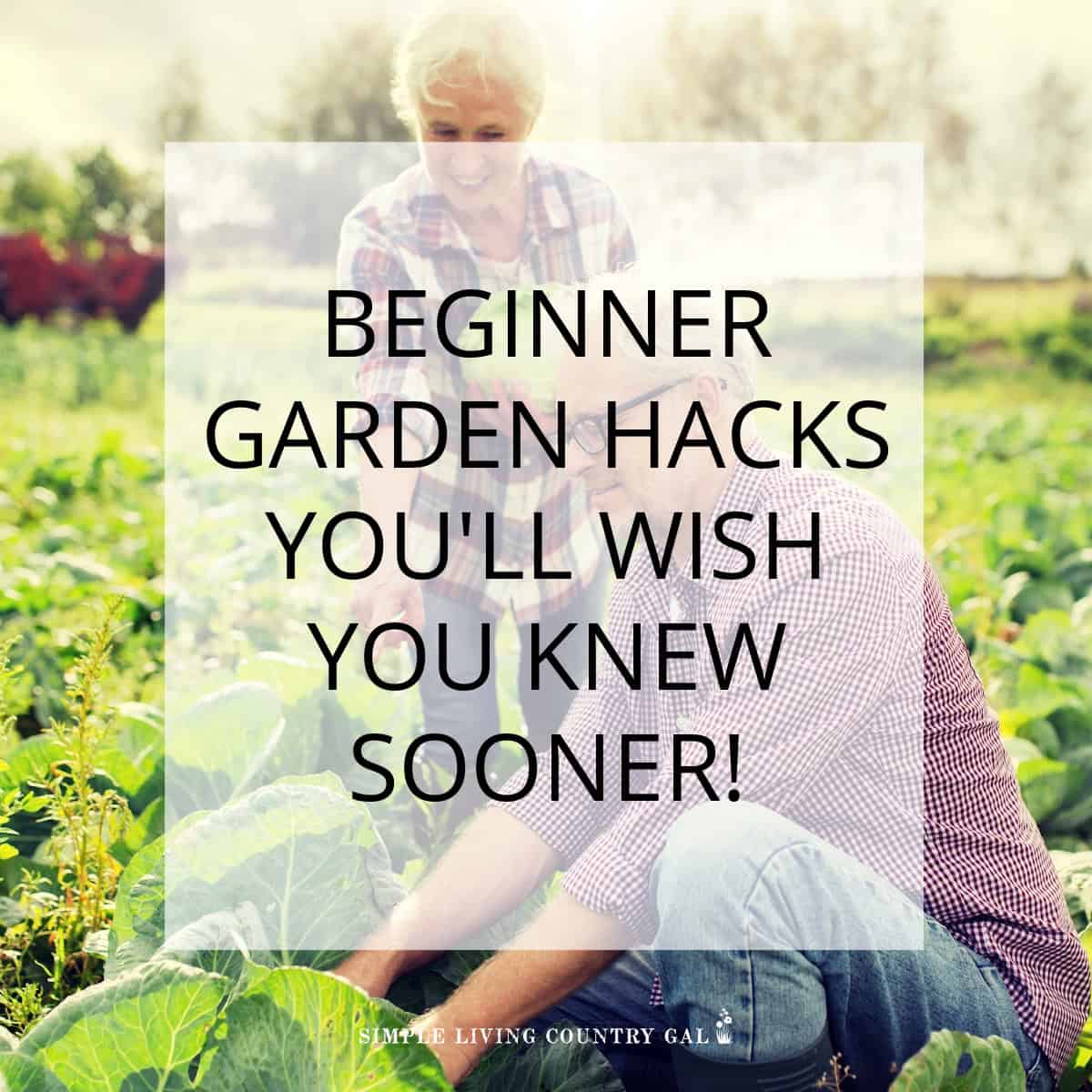 Tips for Beginner Gardeners: Your Essential Guide | Simple Living ...