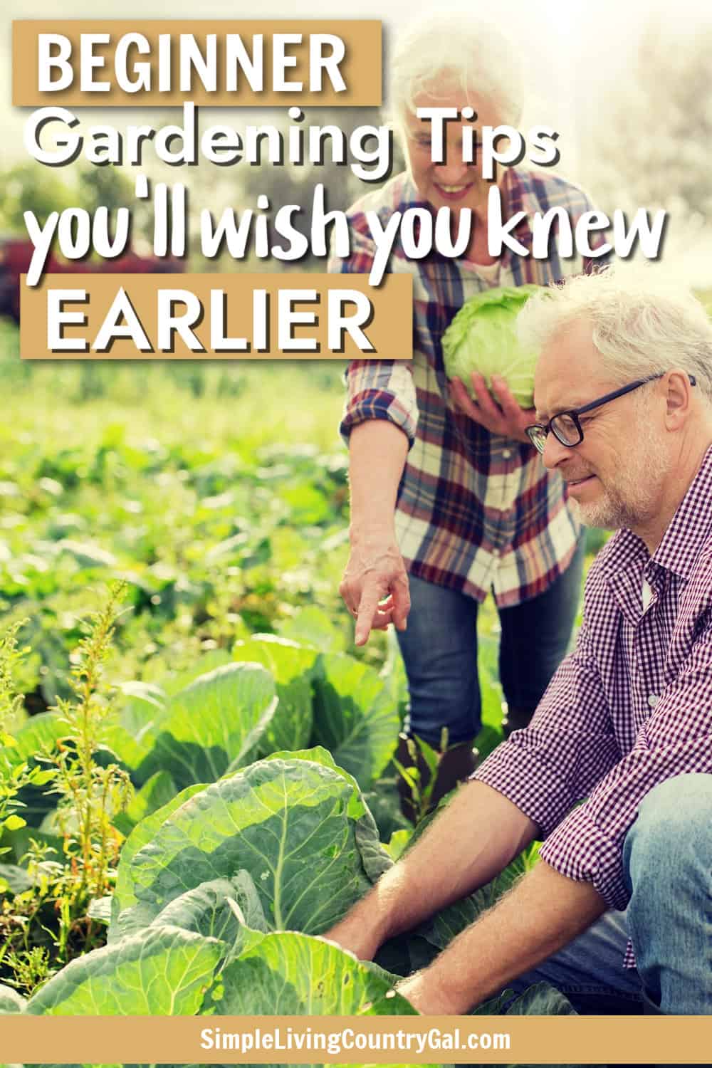 Tips for Beginner Gardeners: Your Essential Guide | Simple Living ...
