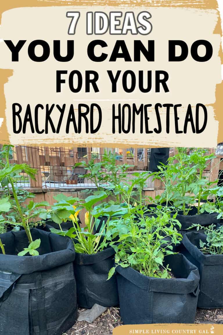 Backyard Homestead Ideas | Simple Living Country Gal