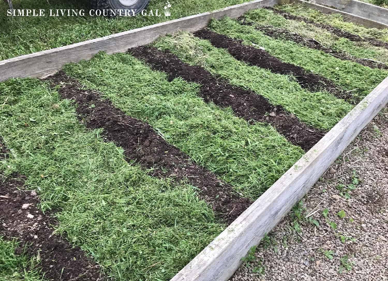 DIY Homestead Projects | Simple Living Country Gal