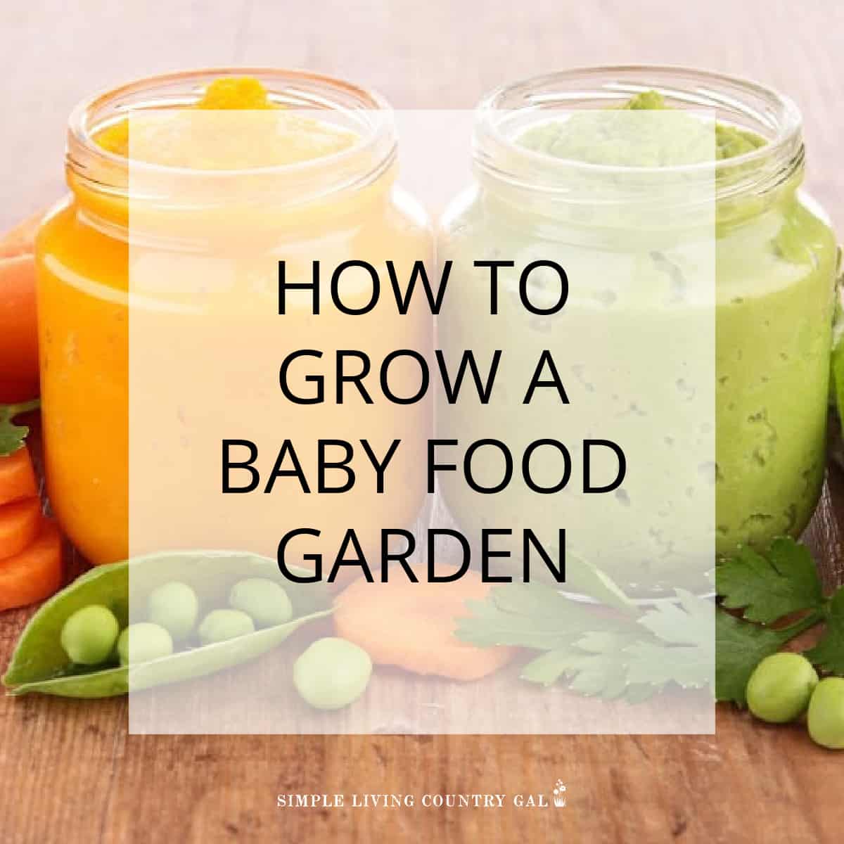 How to Grow a Baby Food Garden | Simple Living Country Gal